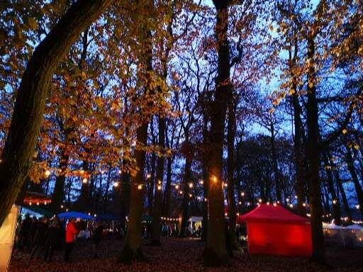 2. Adventsmarkt Parkwald Segendorf - Segendorf